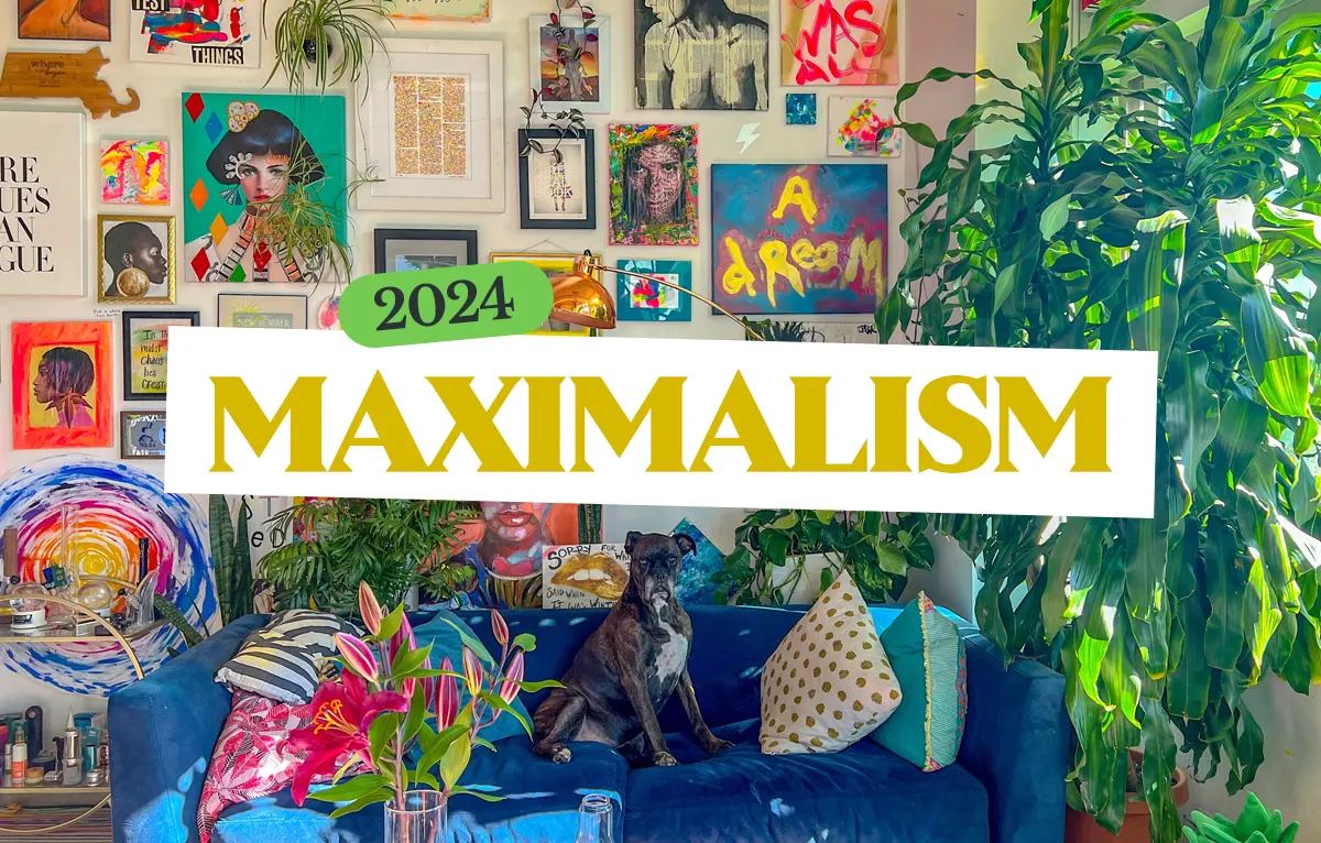 Cedilla Studio | Fonts & Creative Digital Assets