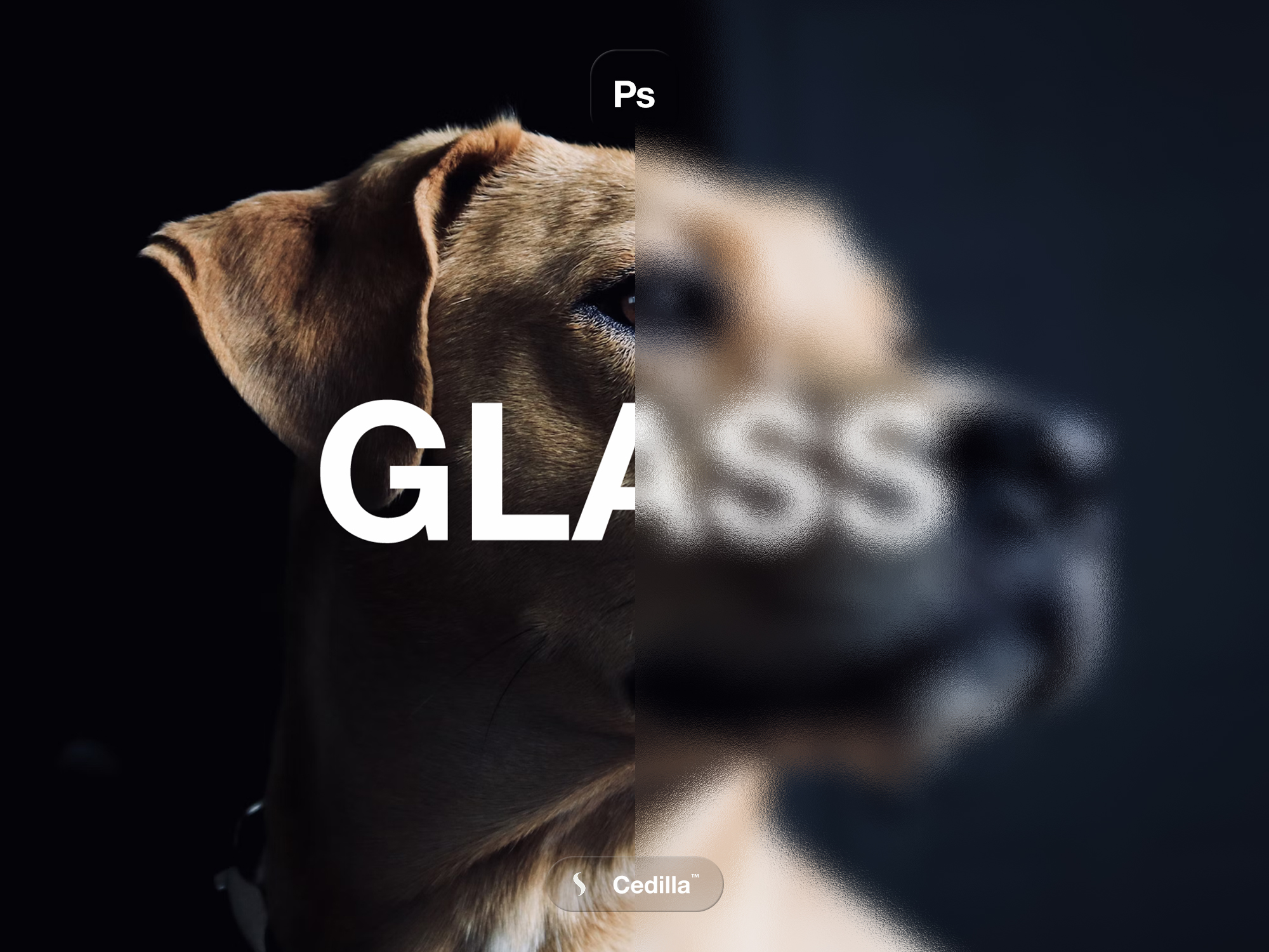 Realistic Glass Effect for Photoshop | Free Download
